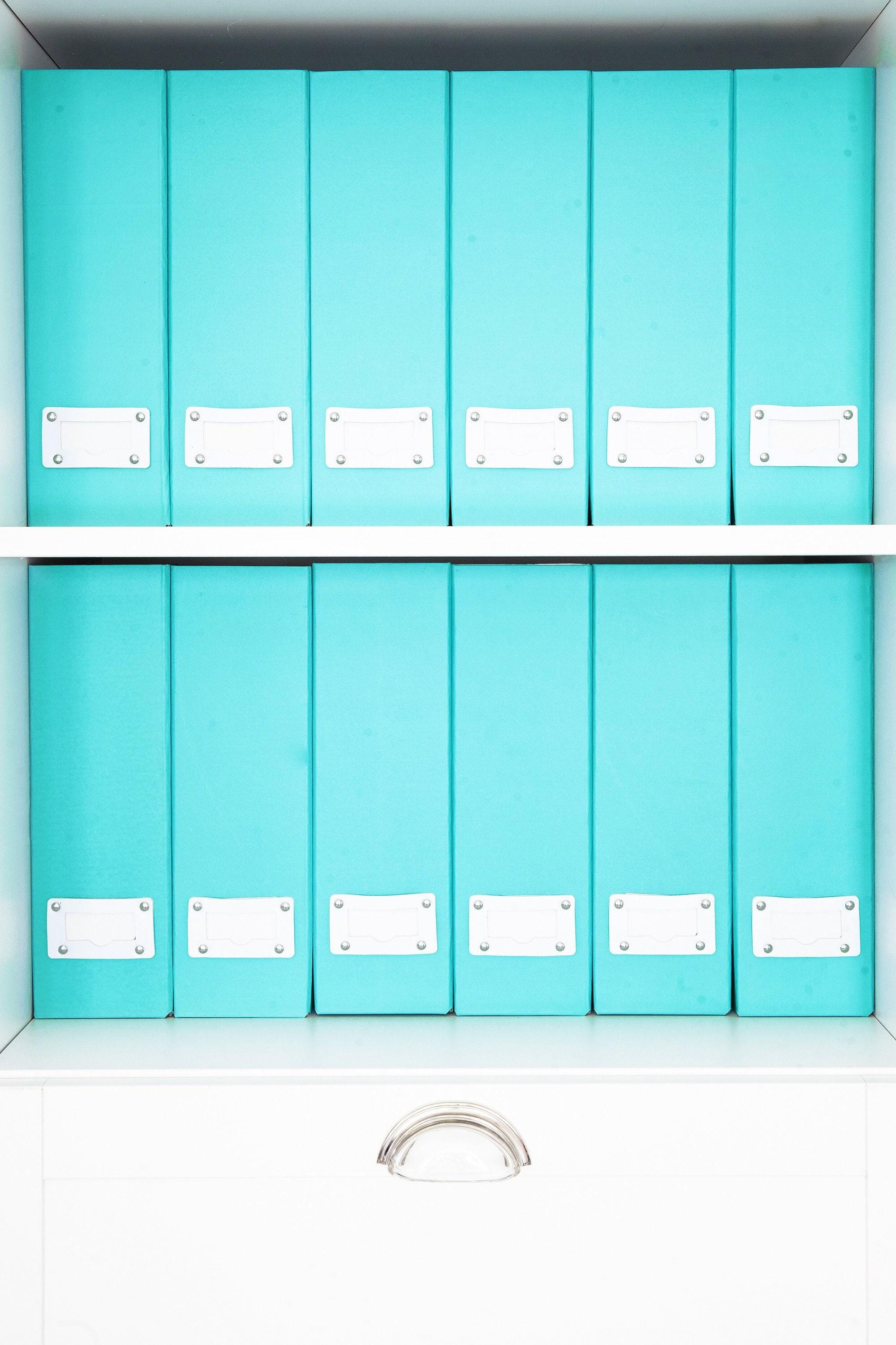 Blu Monaco Foldable Aqua Magazine File Holder With Leather Label Holder ...