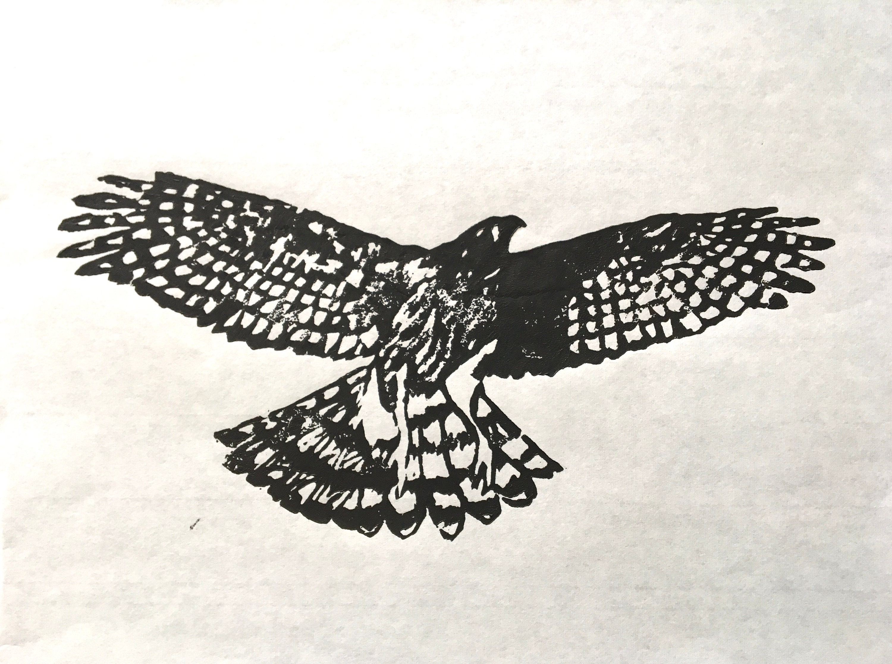 Woodcut Print of Hawk in Flight by Vermont Artist Margot Torrey - Etsy