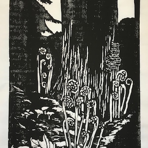 Woodcut Print of Fiddlehead Ferns Beneath a Massive Pine Tree by ...