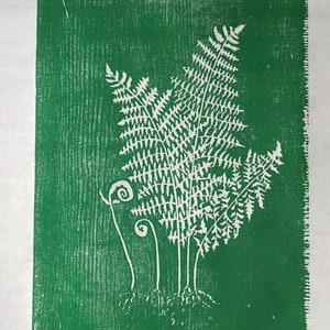 Woodcut Print of Sweet Ferns in Green by Margot Torrey - Etsy