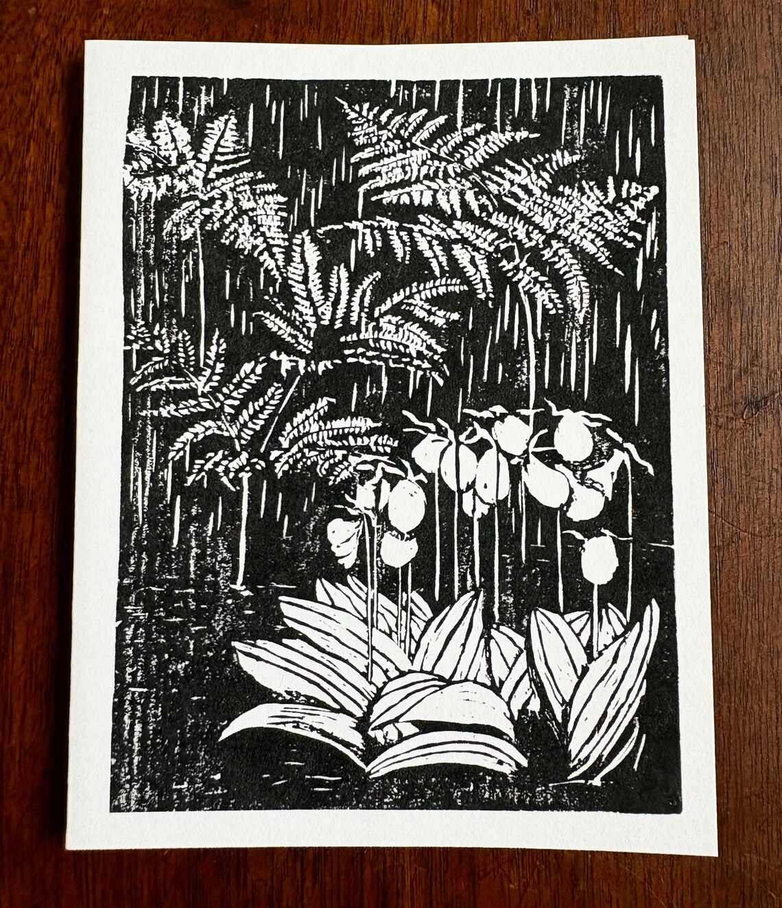 Woodland Plant Notecards: Vermont Woodcut Art Cards, Set of 5 - Etsy