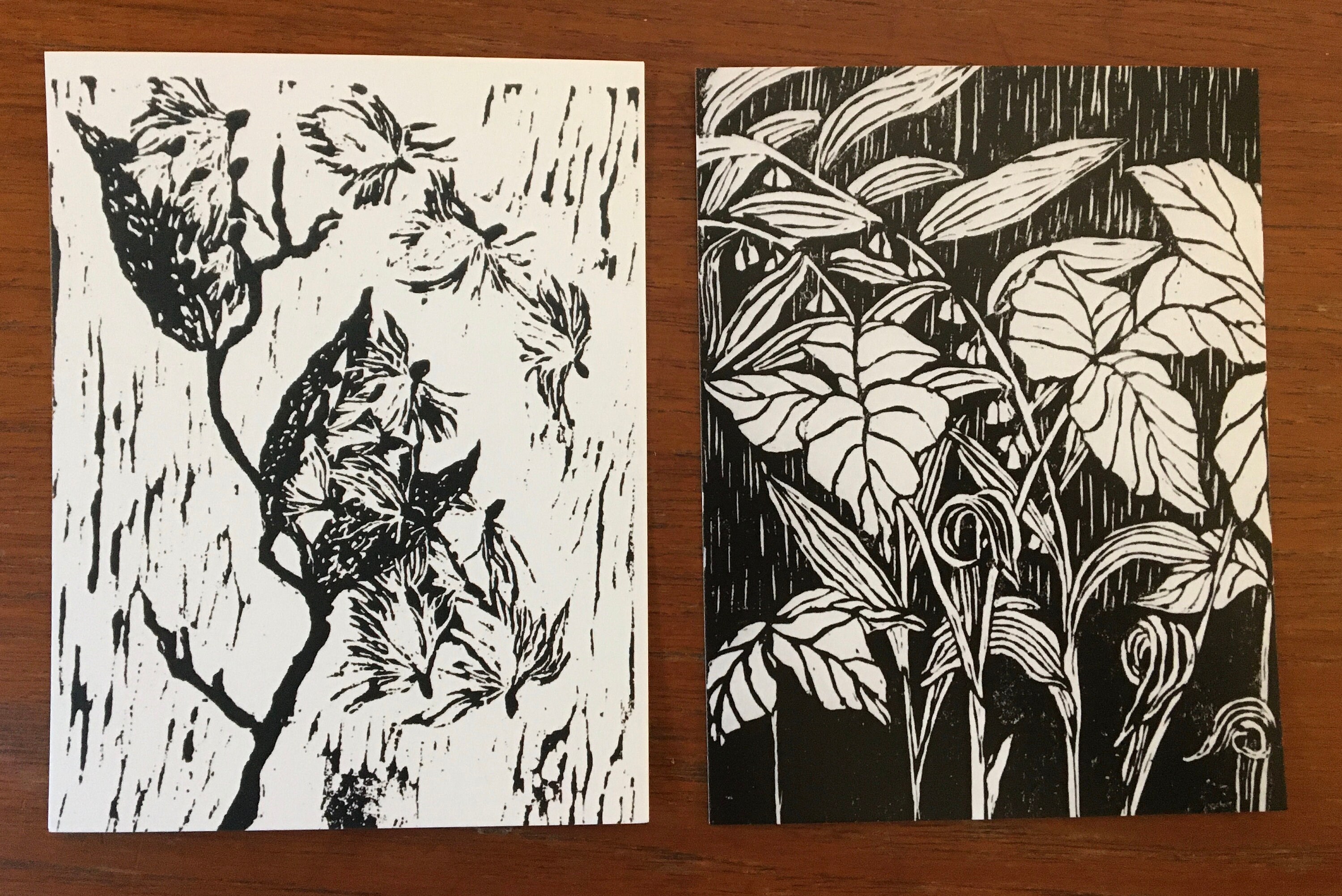 10 Art Postcards of Wild Plants and Ferns From Woodcuts by - Etsy