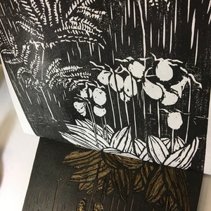 Woodcut Print of Lady Slippers and Maidenhair Ferns in Woods by Vermont ...