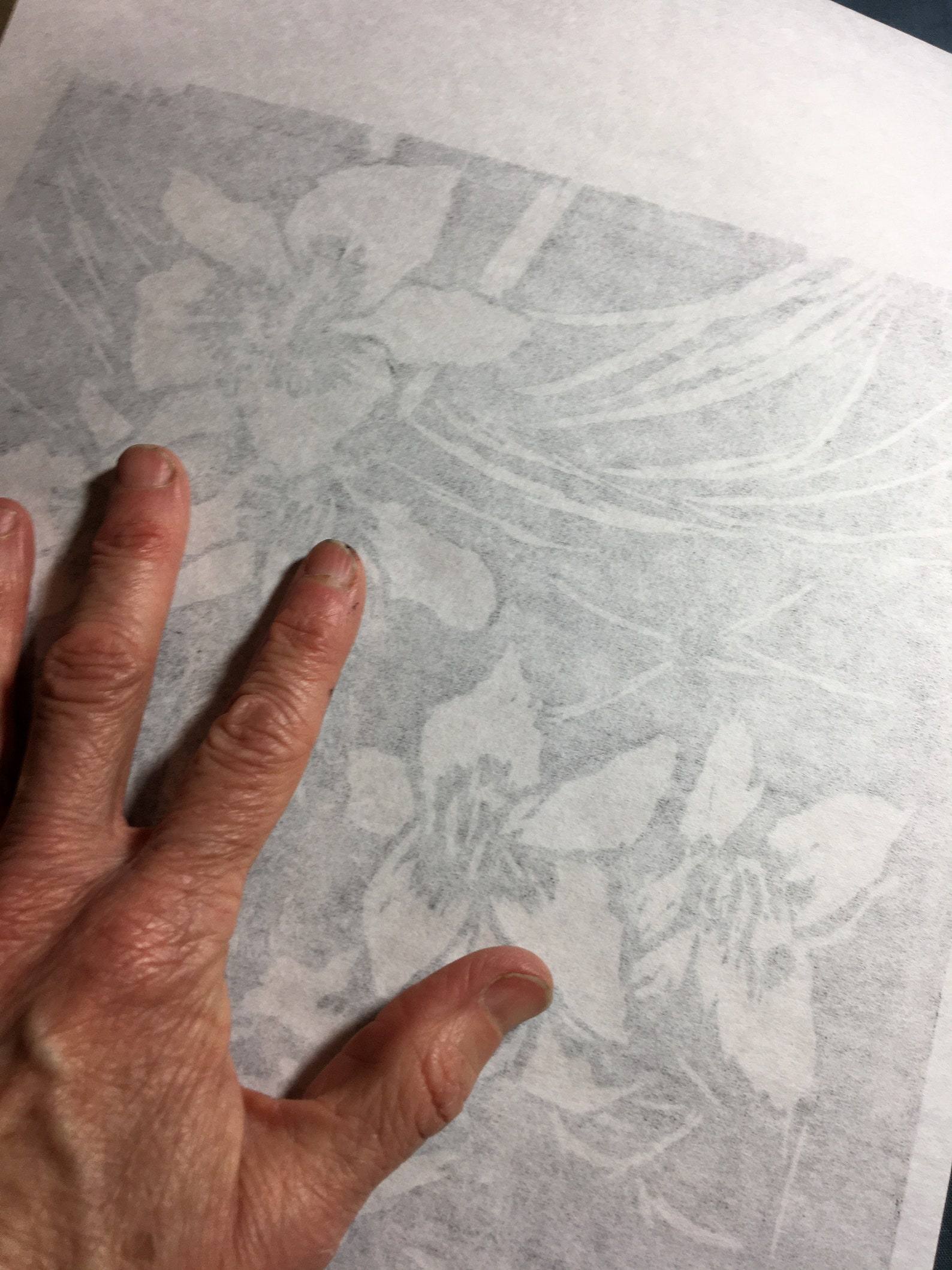 Woodcut Print of Garden Bed of Day Lilies, by Vermont Artist Margot ...