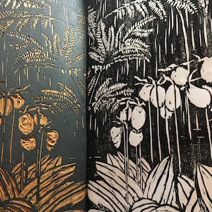Woodcut Print of Lady Slippers and Maidenhair Ferns in Woods by Vermont ...