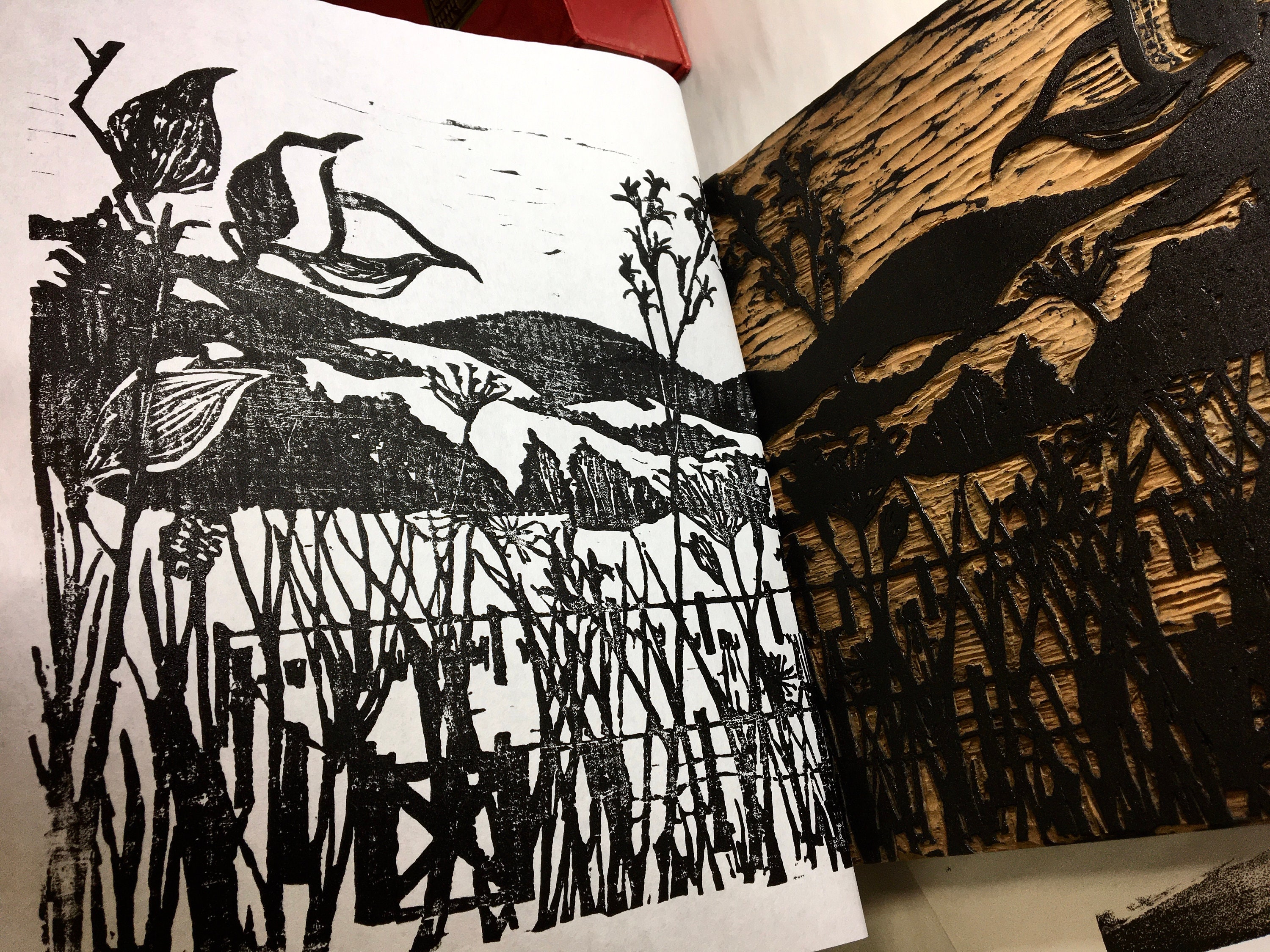 Woodcut Print of Autumn Garden, in Black and White, by Vermont Artist ...