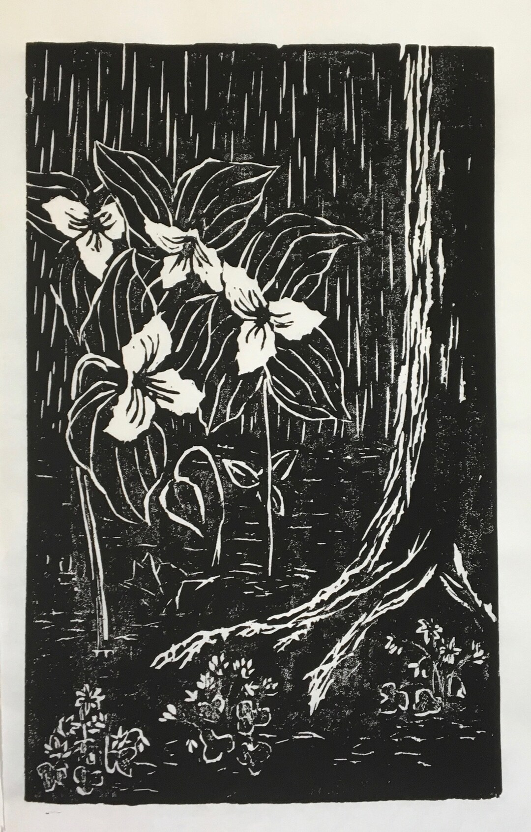 Woodcut Print of Trillium and Pine Tree, Wild Botanical, Black and ...