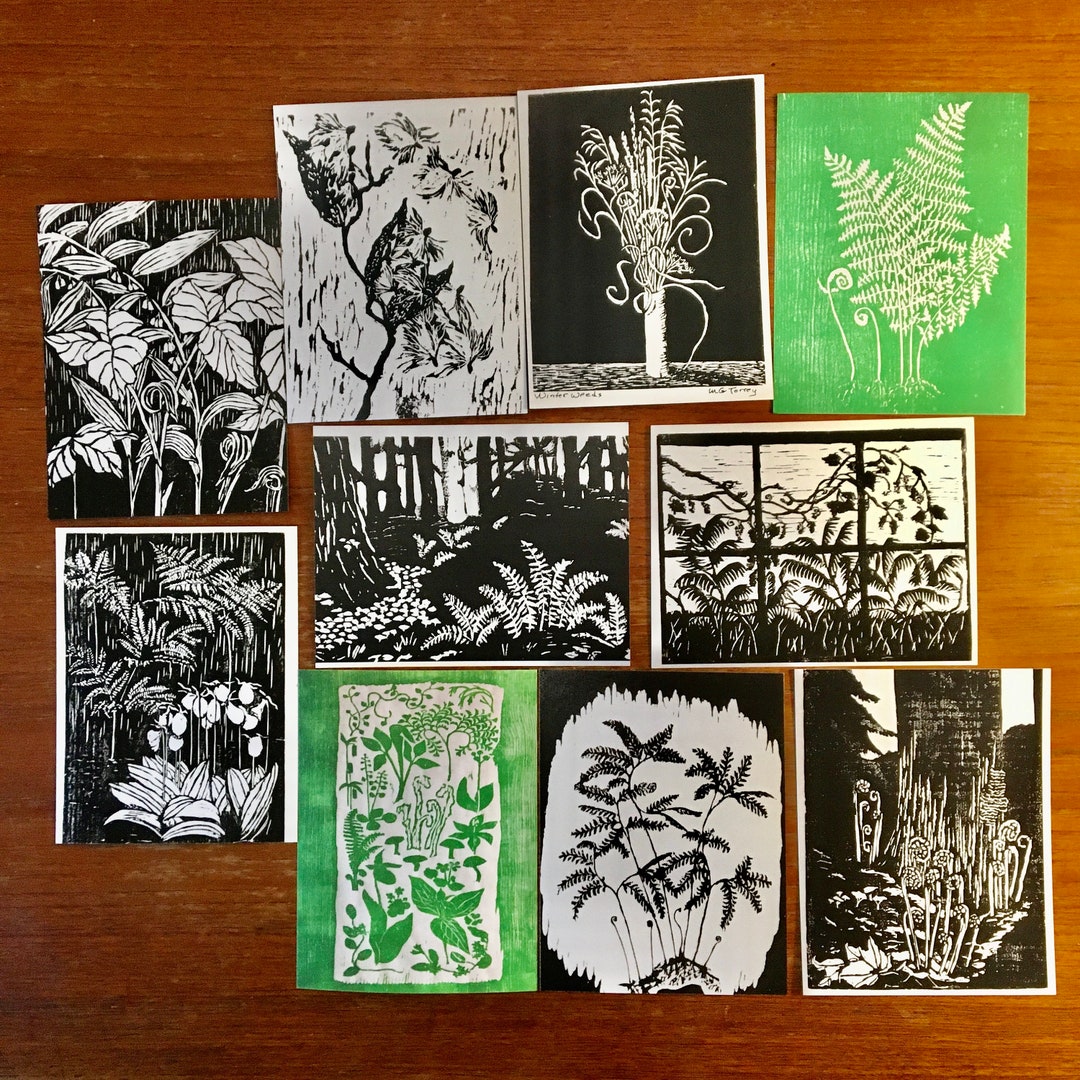 10 Art Postcards of Wild Plants and Ferns, From Woodcuts by Vermont ...