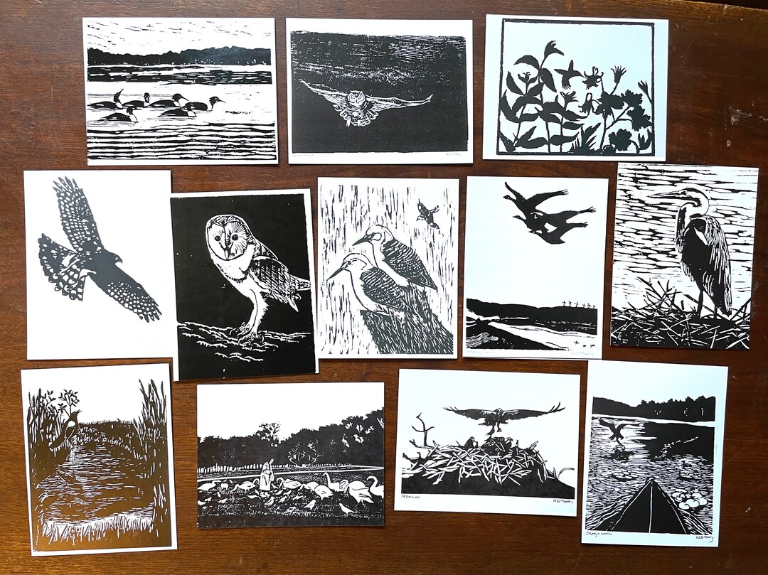 12 Postcards of Wild Birds From Woodcuts by Margot Torrey - Etsy