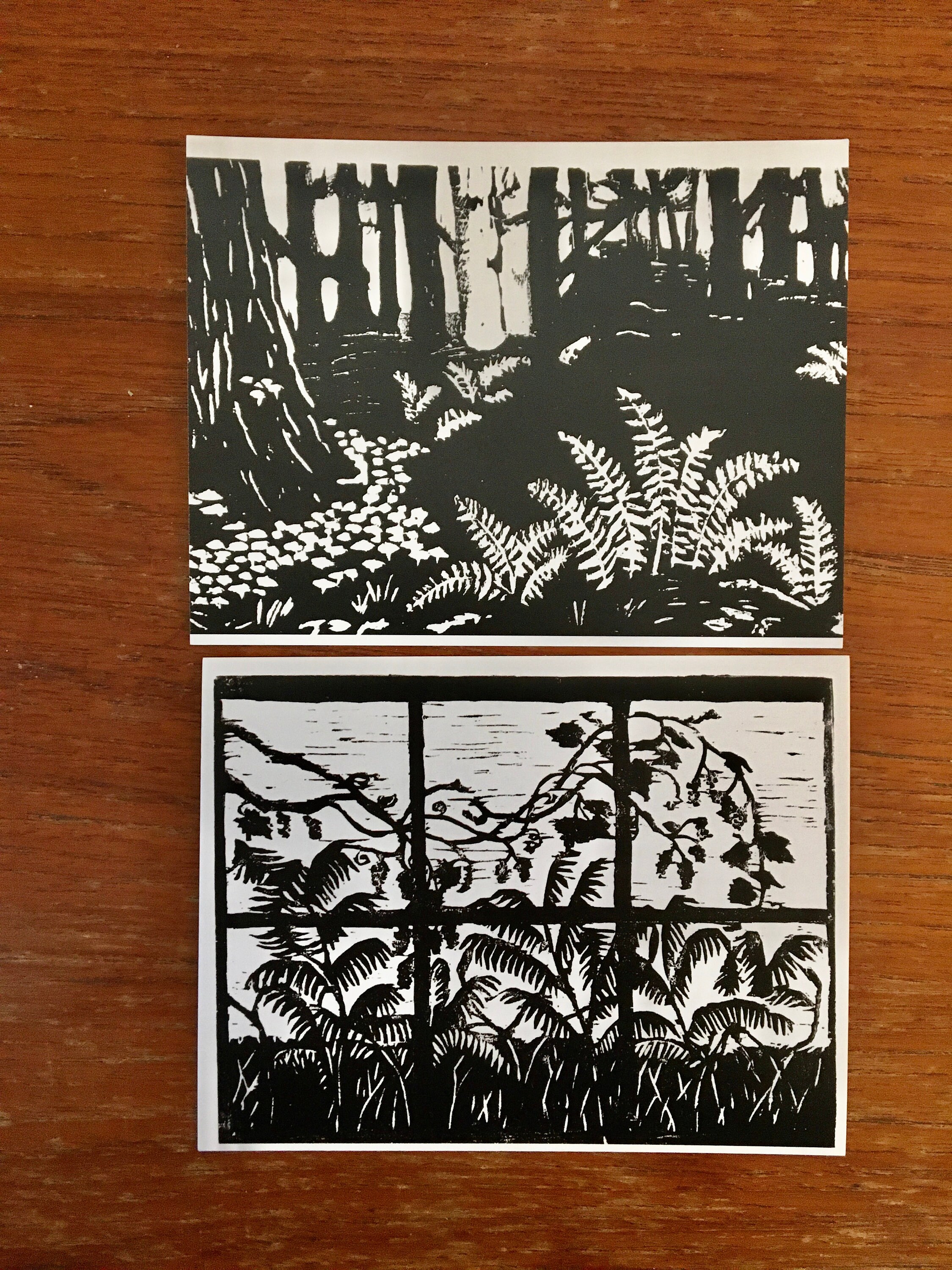 10 Art Postcards of Wild Plants and Ferns From Woodcuts by - Etsy