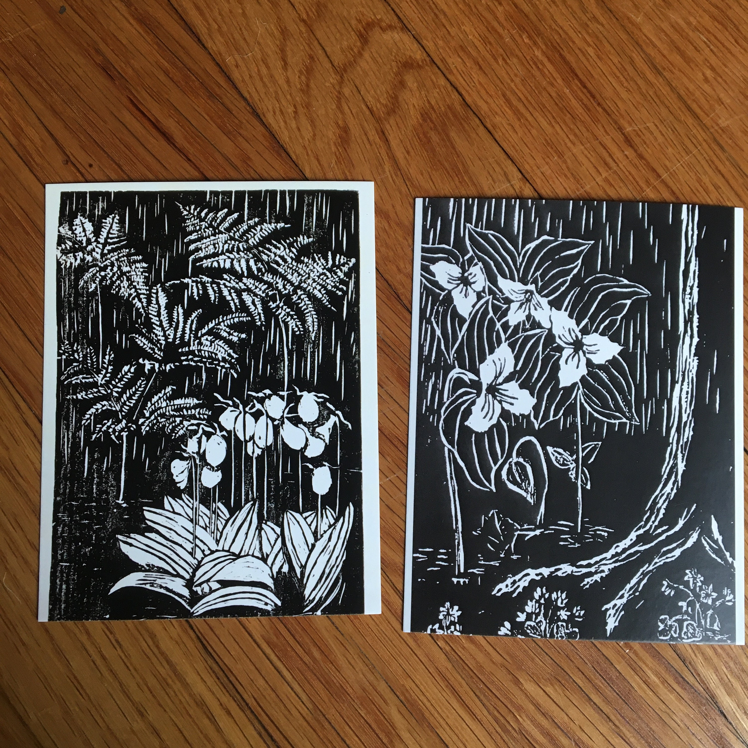 10 Art Postcards of Ferns and Flowers, From Woodcuts by Margot Torrey ...