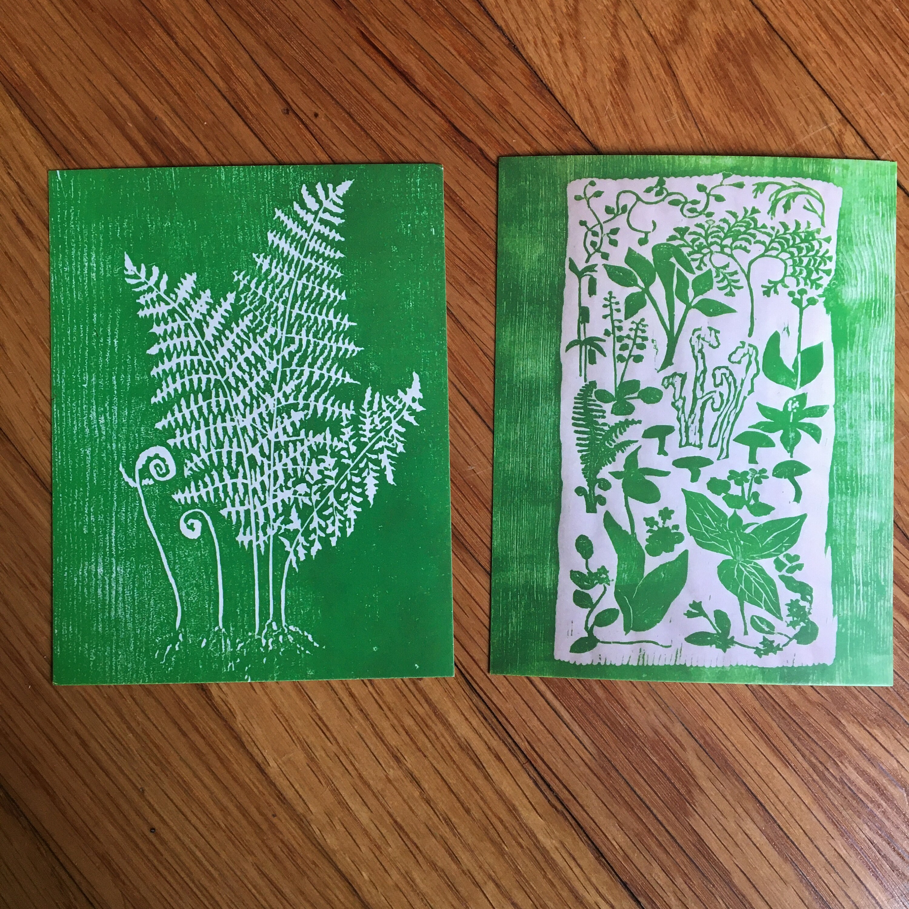 10 Art Postcards of Ferns and Flowers, From Woodcuts by Margot Torrey ...