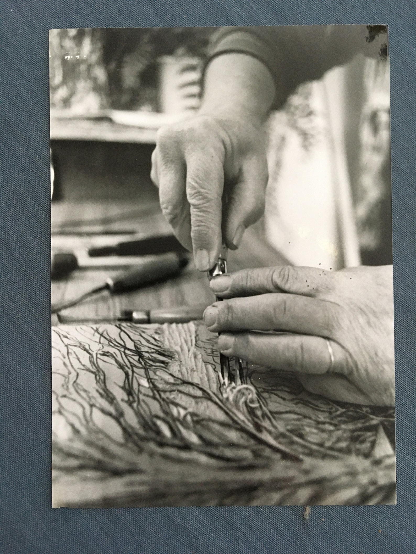 Woodcut Print of Pine Tree Roots at a Lakeshore holding | Etsy