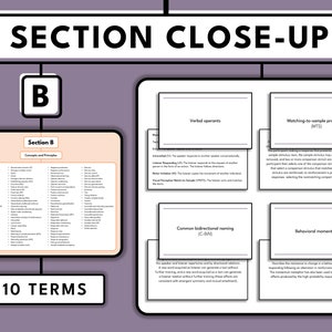 BCBA Exam Flash Cards | 357 Flashcards | 6th Edition | BCBA ...