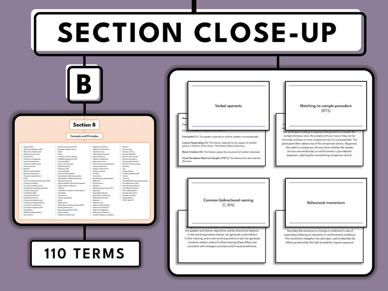 BCBA Exam Flash Cards | 357 Flashcards | 6th Edition | BCBA ...