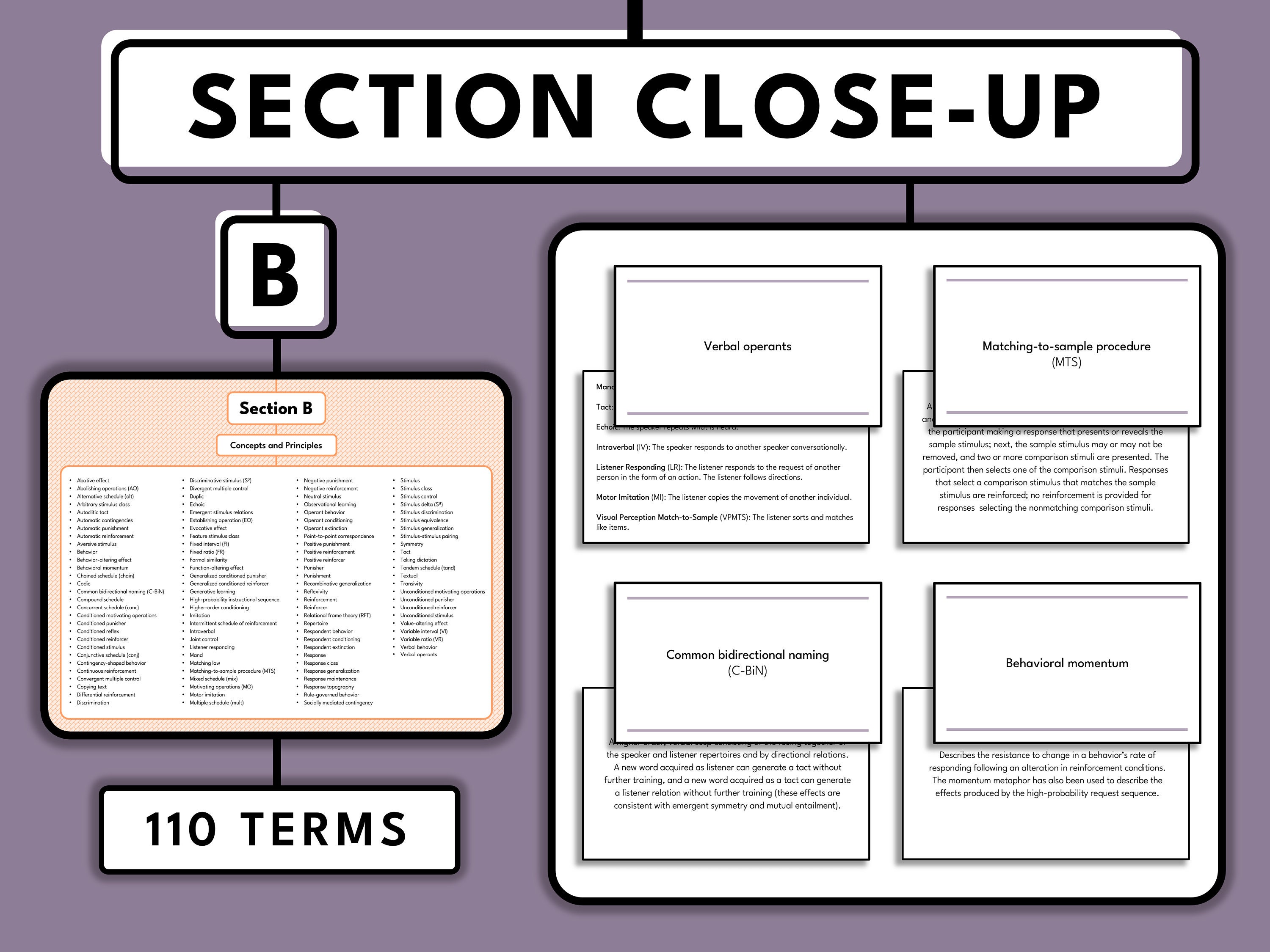 BCBA Exam Flash Cards 357 Flashcards 6th Edition BCBA Certification ABA ...
