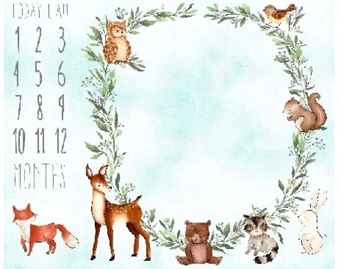Milestone Cotton Fabric Panel by QT Fabrics Sew and Go Woodland Animals ...