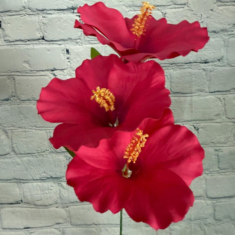 Hibiscus Bouquet - Etsy