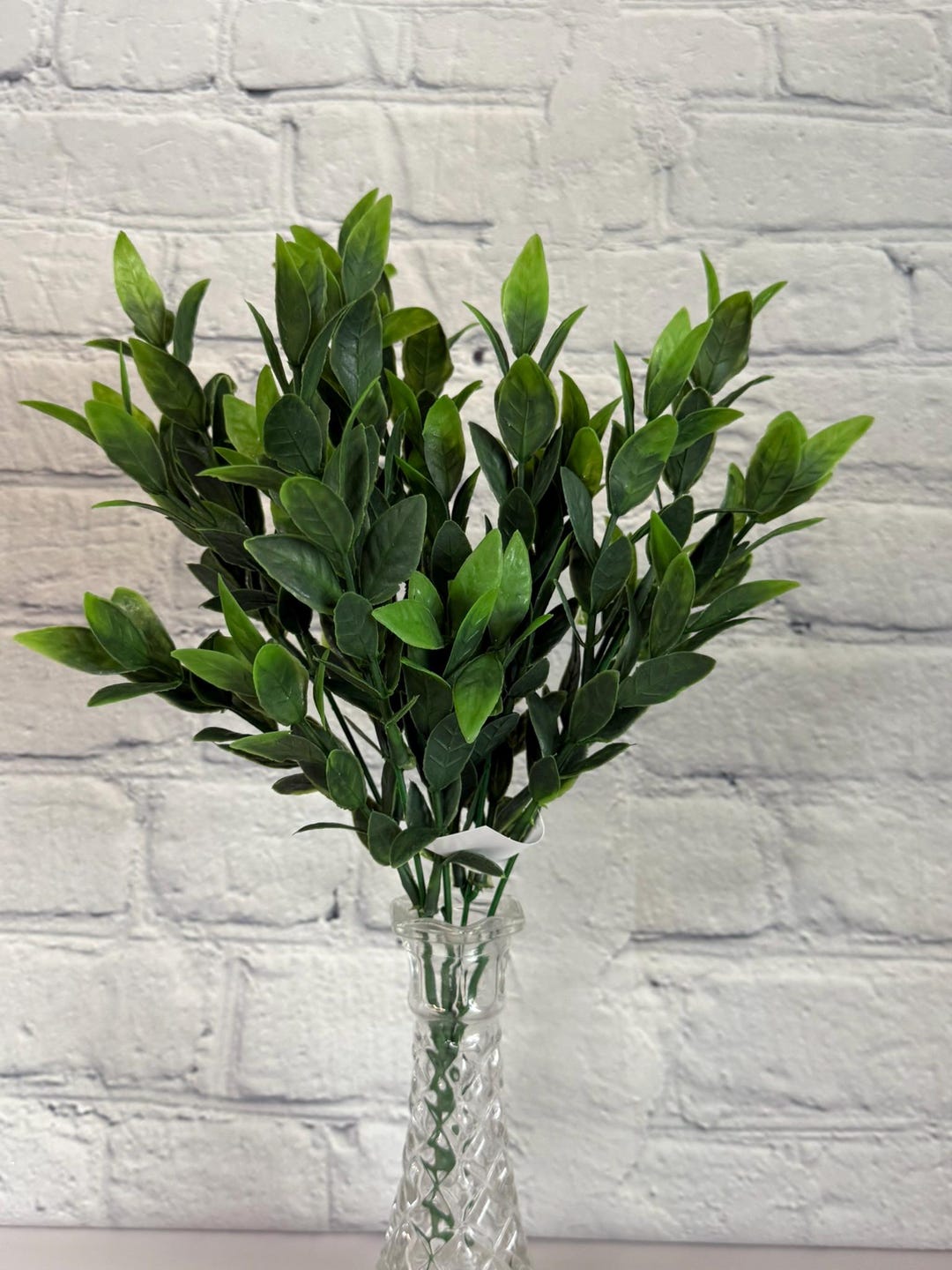 Greenery Filler, Baby Ruscus Bush 14"– 5 Stems of Mixed Green Leaves ...