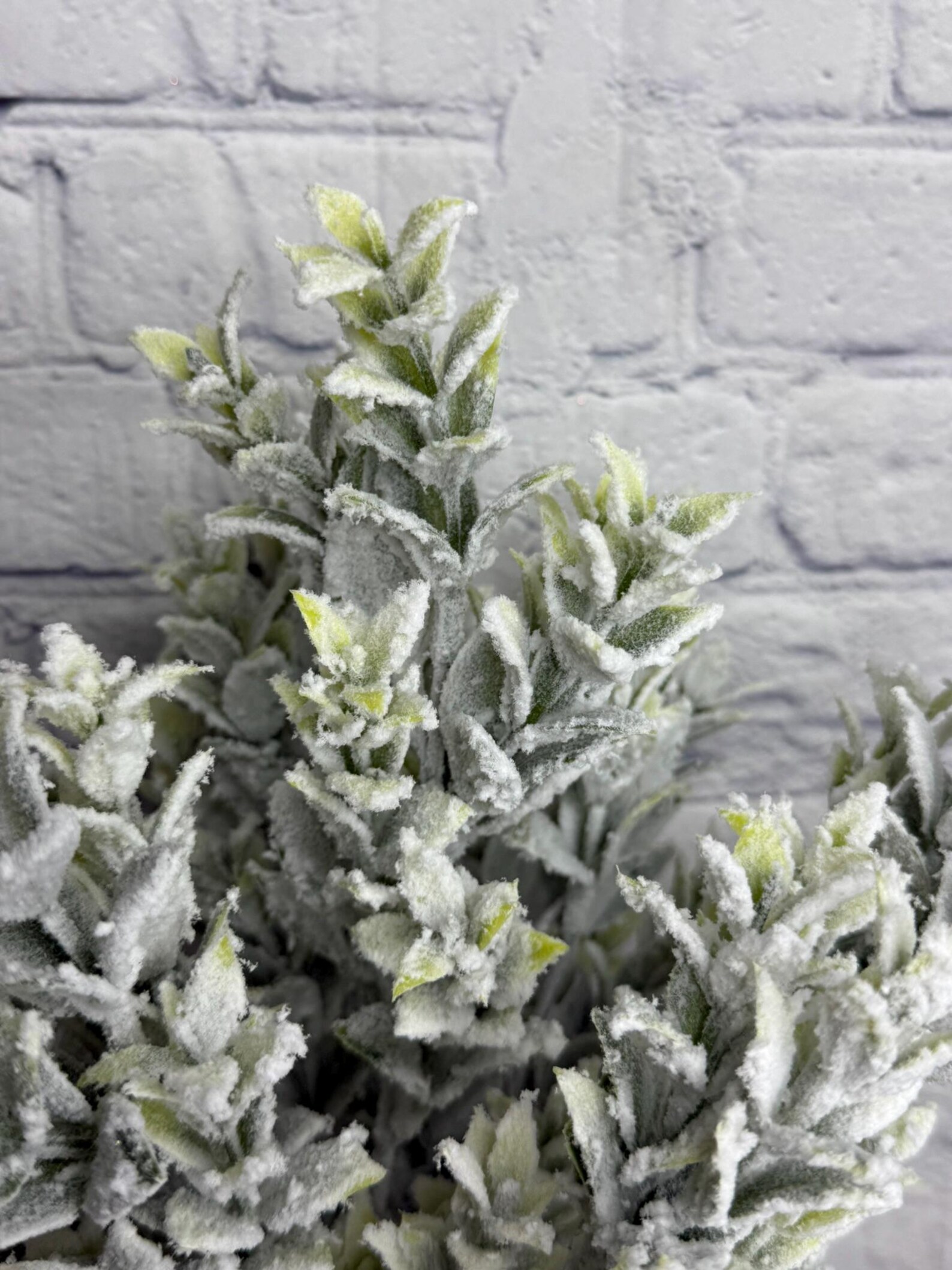 Snowed Tea Leaf Bush 18", Flocked Winter Greenery | 7-stem Faux Bush ...