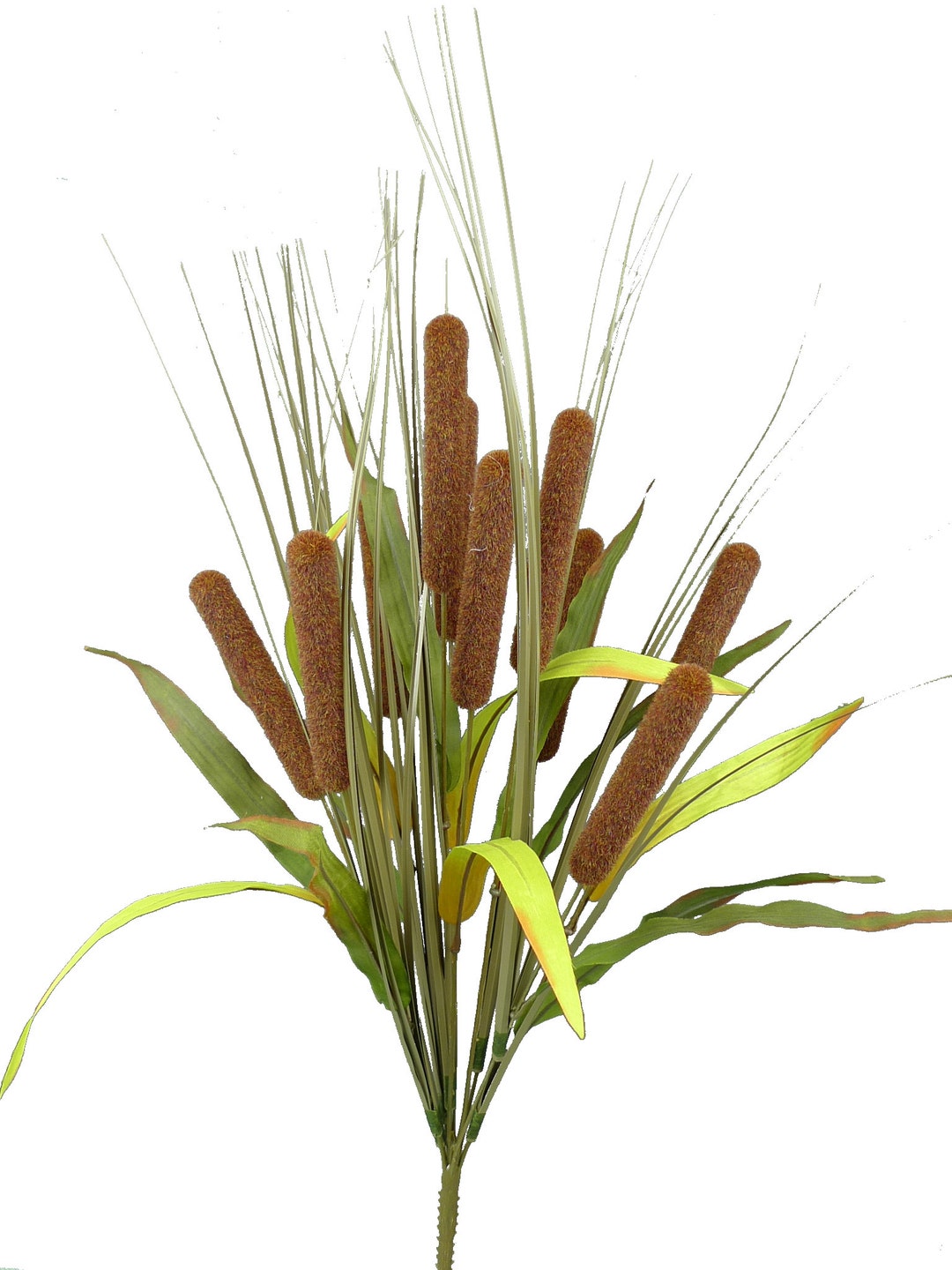 Cattail Bush X 10 21" , Fall Wreath, Outdoor Floral, Country Decor or ...