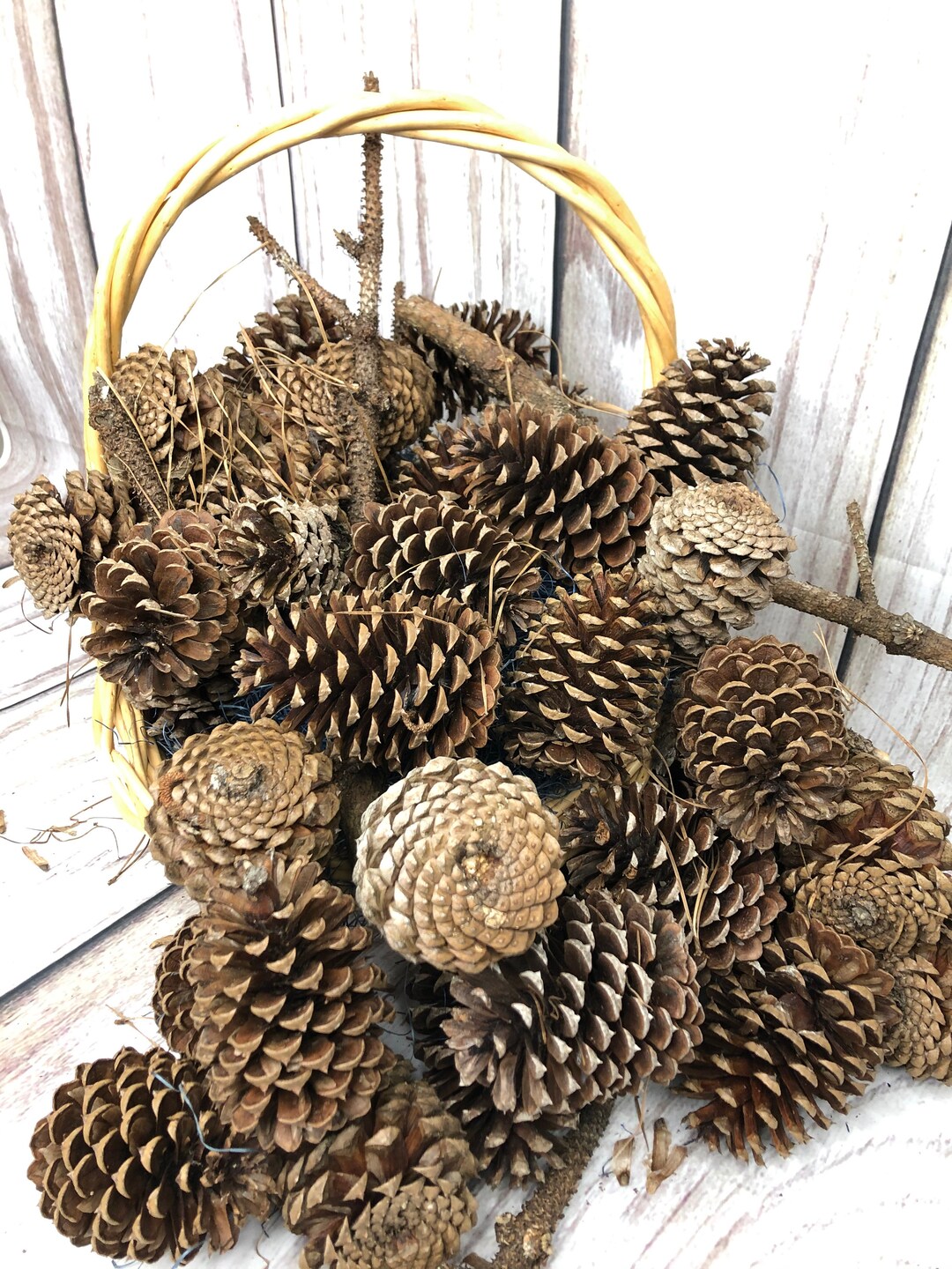 Pine Cones Natural , Christmas Tree Decorations, Festive Pine Cones, Rustic Wedding Decorations ...
