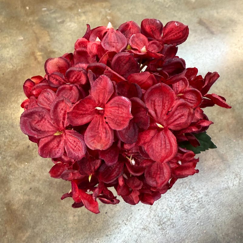 Hydrangea Stems Red - Etsy