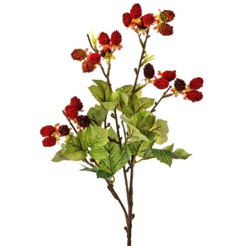 Styro Raspberry Spray X 4 19”, Raspberry Branch Stem, Wreath ...