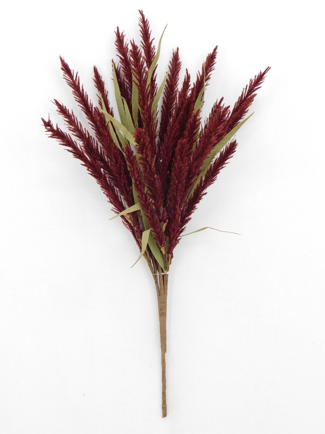 Amaranthus Bush Burgundy Filler Stems for Fall Wreaths or Crafts ...