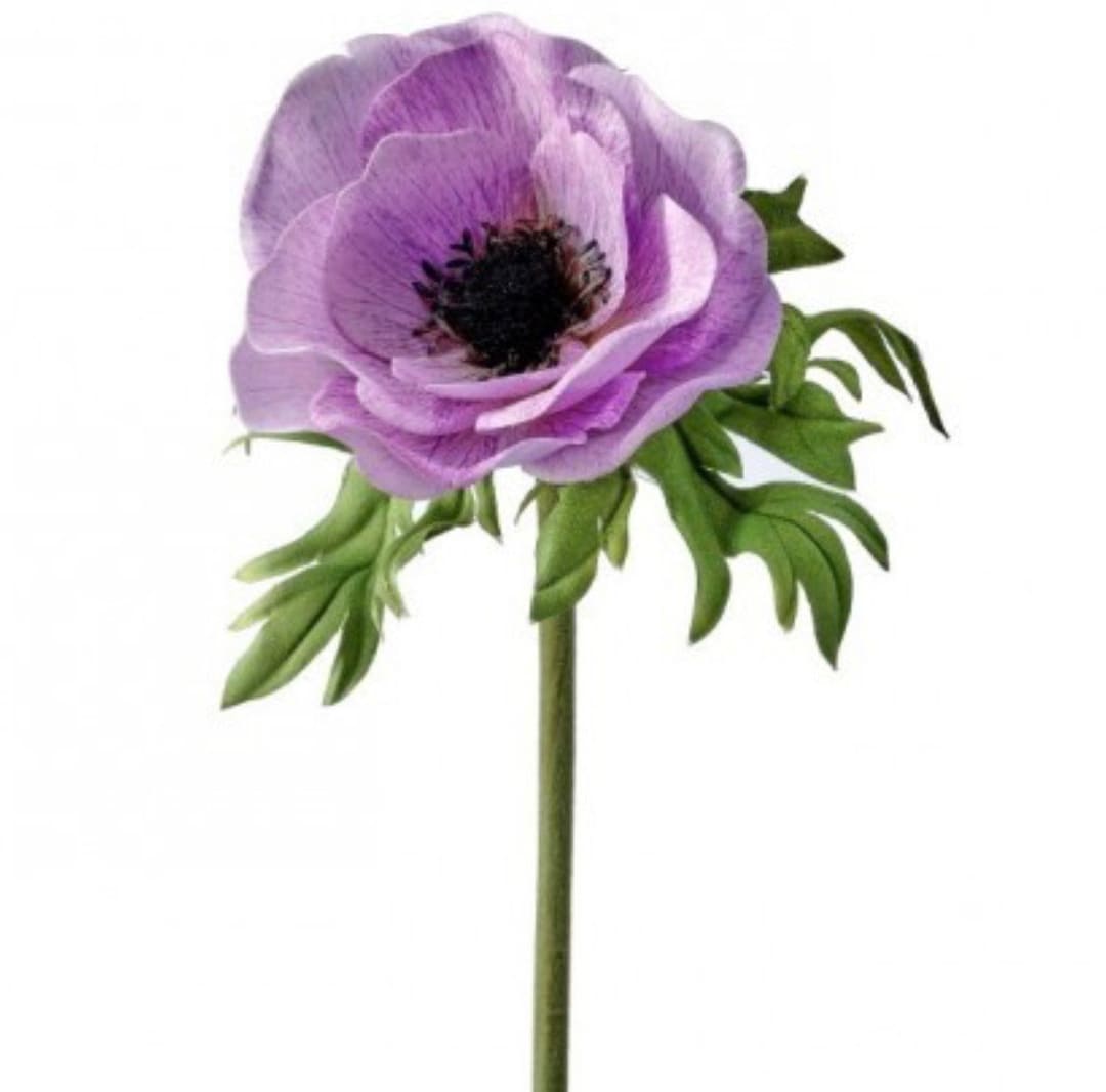 Anemone Flower, Just Cut Lavender 22”, Farmhouse Country Floral, Single ...