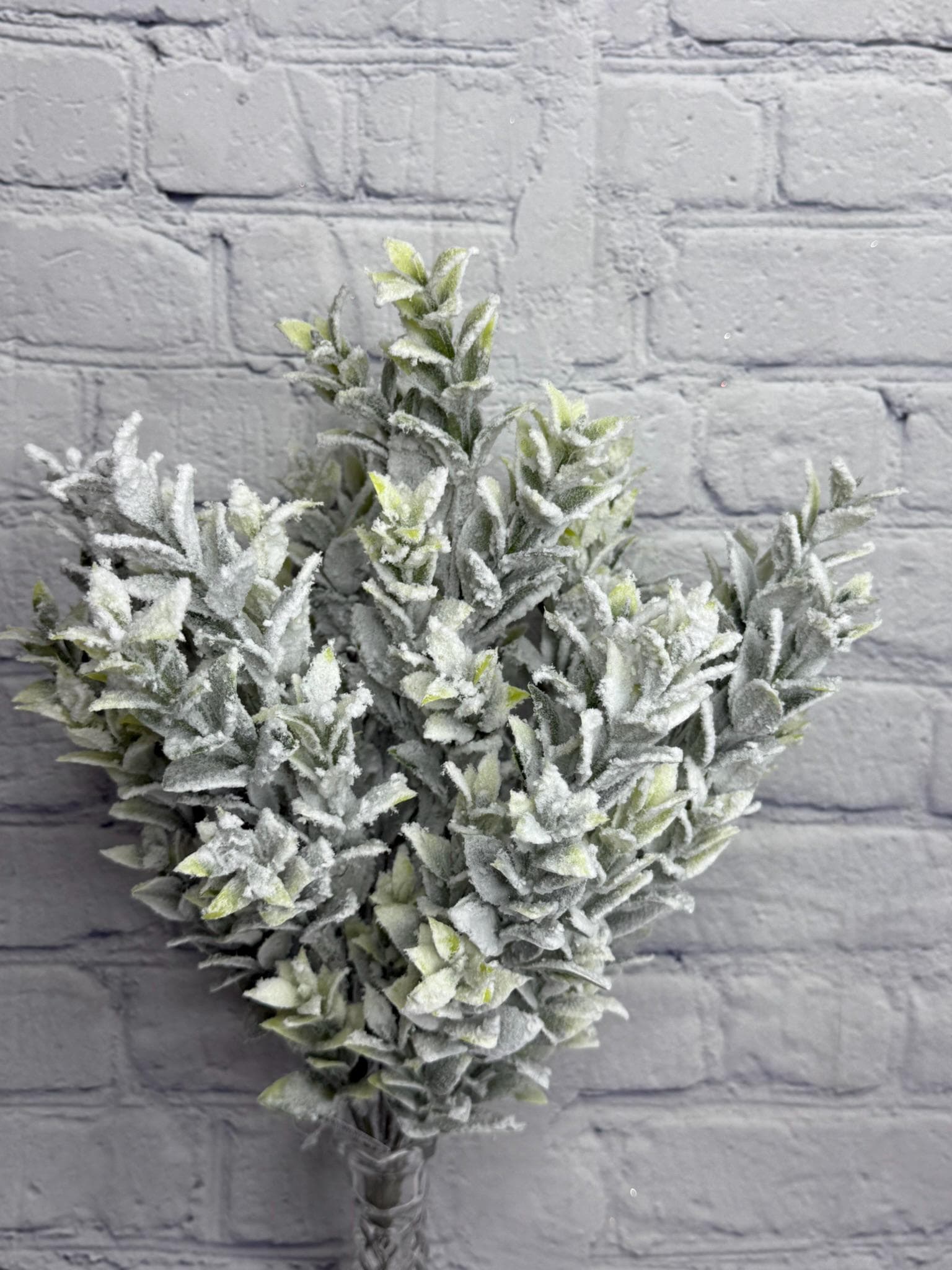 Snowed Tea Leaf Bush 18", Flocked Winter Greenery | 7-stem Faux Bush ...