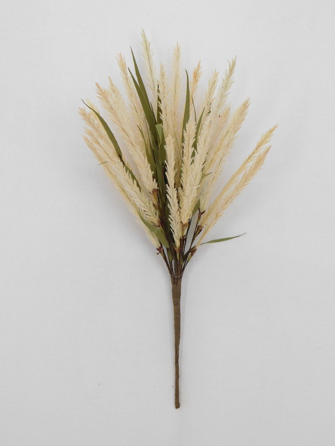 Amaranthus Bush Cream Filler Stems for Wreaths or Crafts, Floral ...