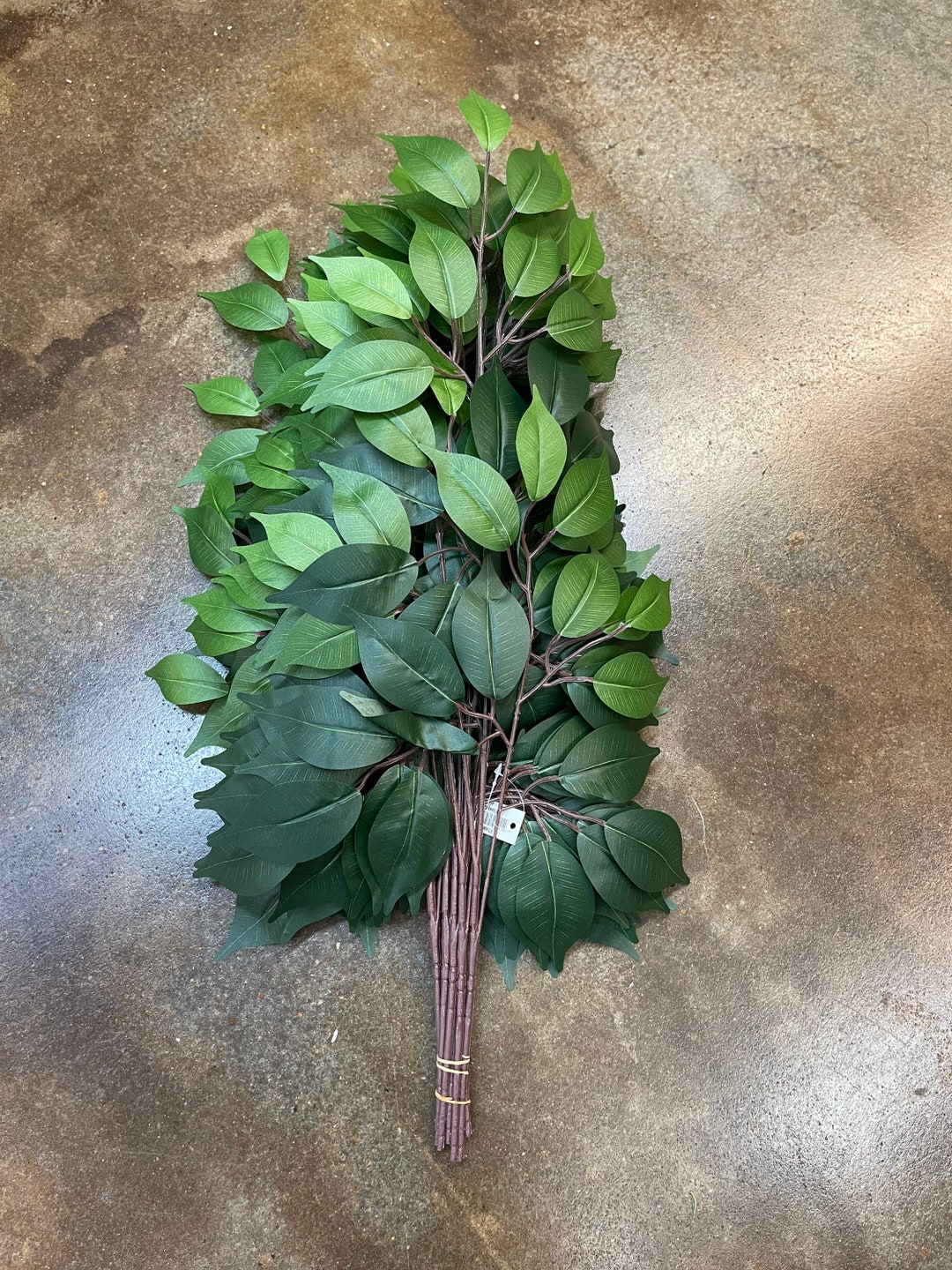 Green Ficus Spray X 3 Branches, One Dozen, 23", Filler, Greenery Stem ...