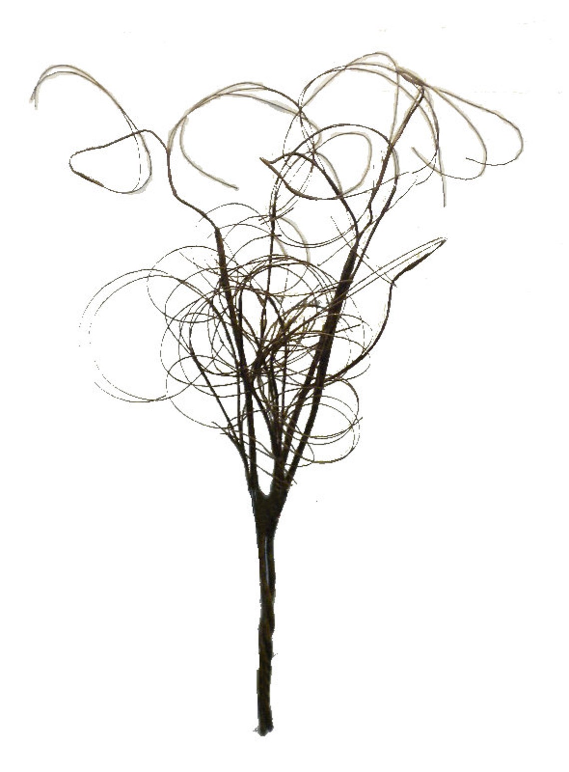 Twig Spray 28', Twigs Filler Spray, Wreath Embellishment Supply, Floral ...