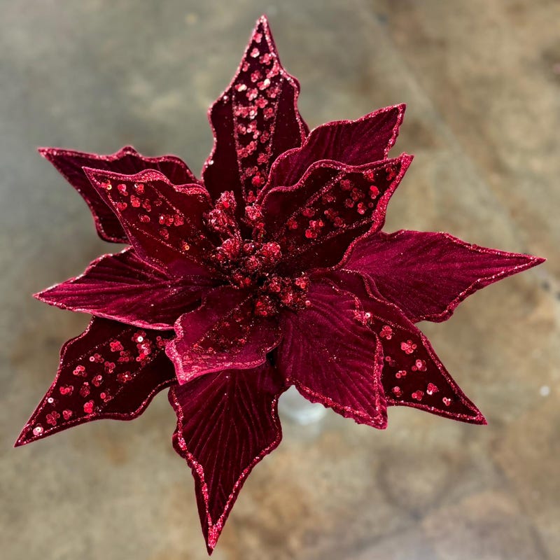 Burgundy Poinsettia - Etsy