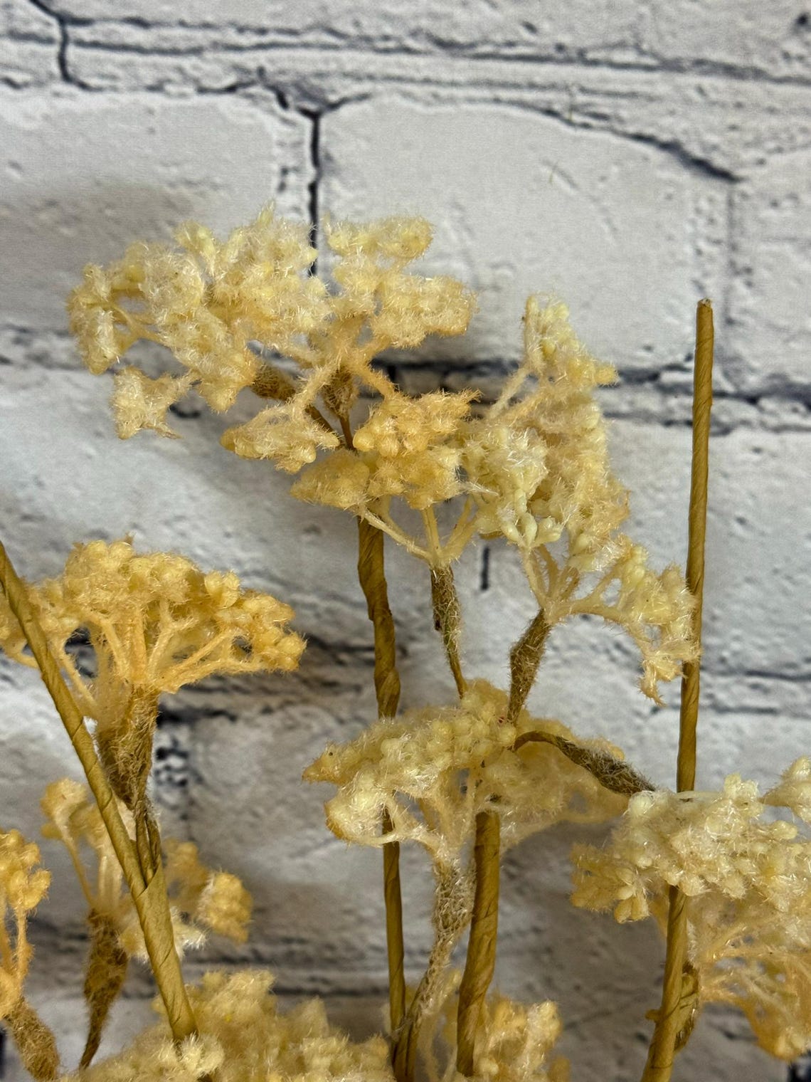 Natural Yarrow Spray X 5, 32” Spray, Wreath Embellishment Supply ...