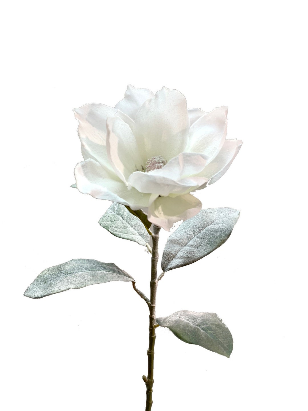Snowy Magnolia Spray 29h", White Magnolia for Wreaths, Centerpieces ...