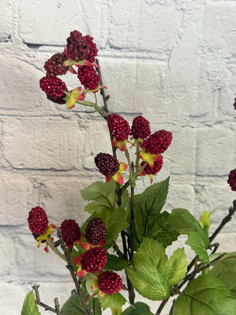 Styro Raspberry Spray X 4 19”, Raspberry Branch Stem, Wreath ...
