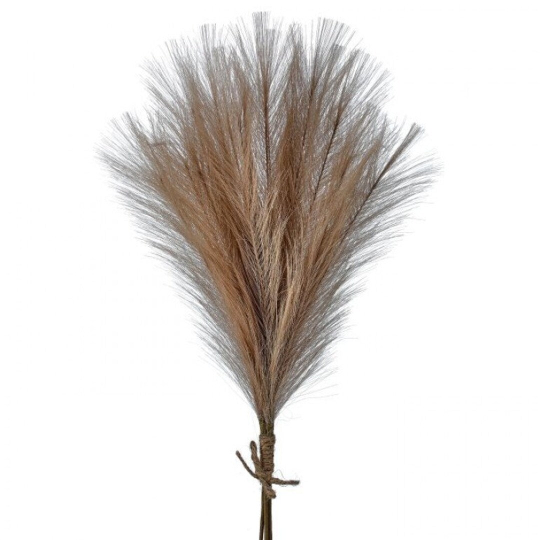 Pampas Feather Taupe Bundle 23”, Boho Beach Fall Wedding Wreath Embellishment Supply, Floral ...