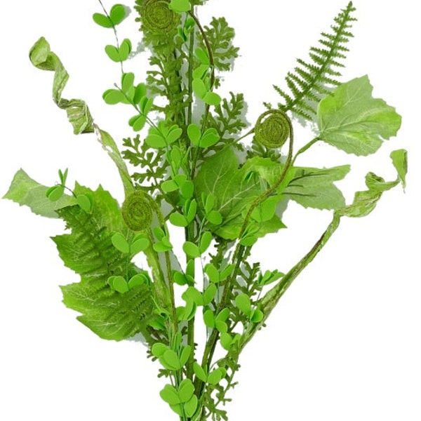 Curly Fern - Etsy