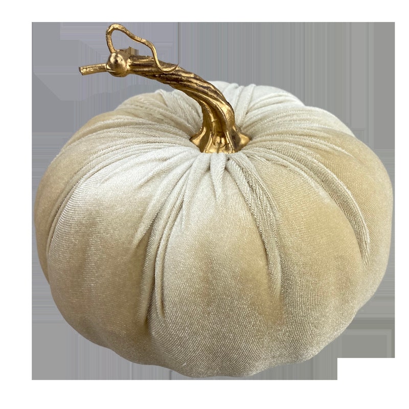 Velvet Pumpkin - Etsy