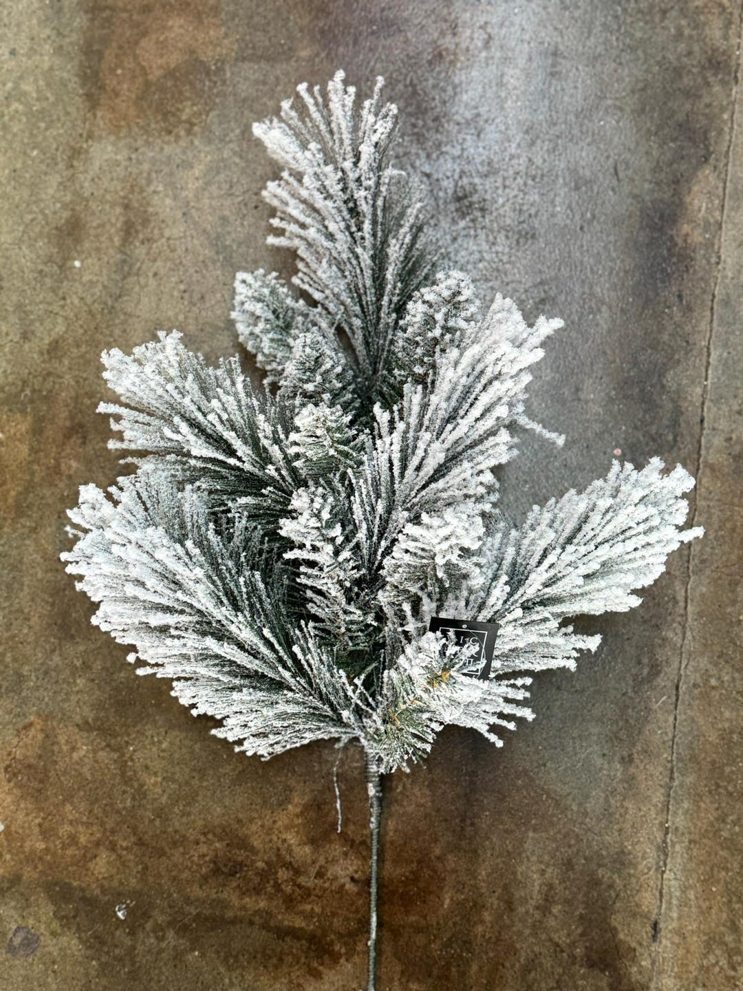 Flocked Pine Spray, Jackson Pin Spray 24", Winter Greenery, Wreath ...
