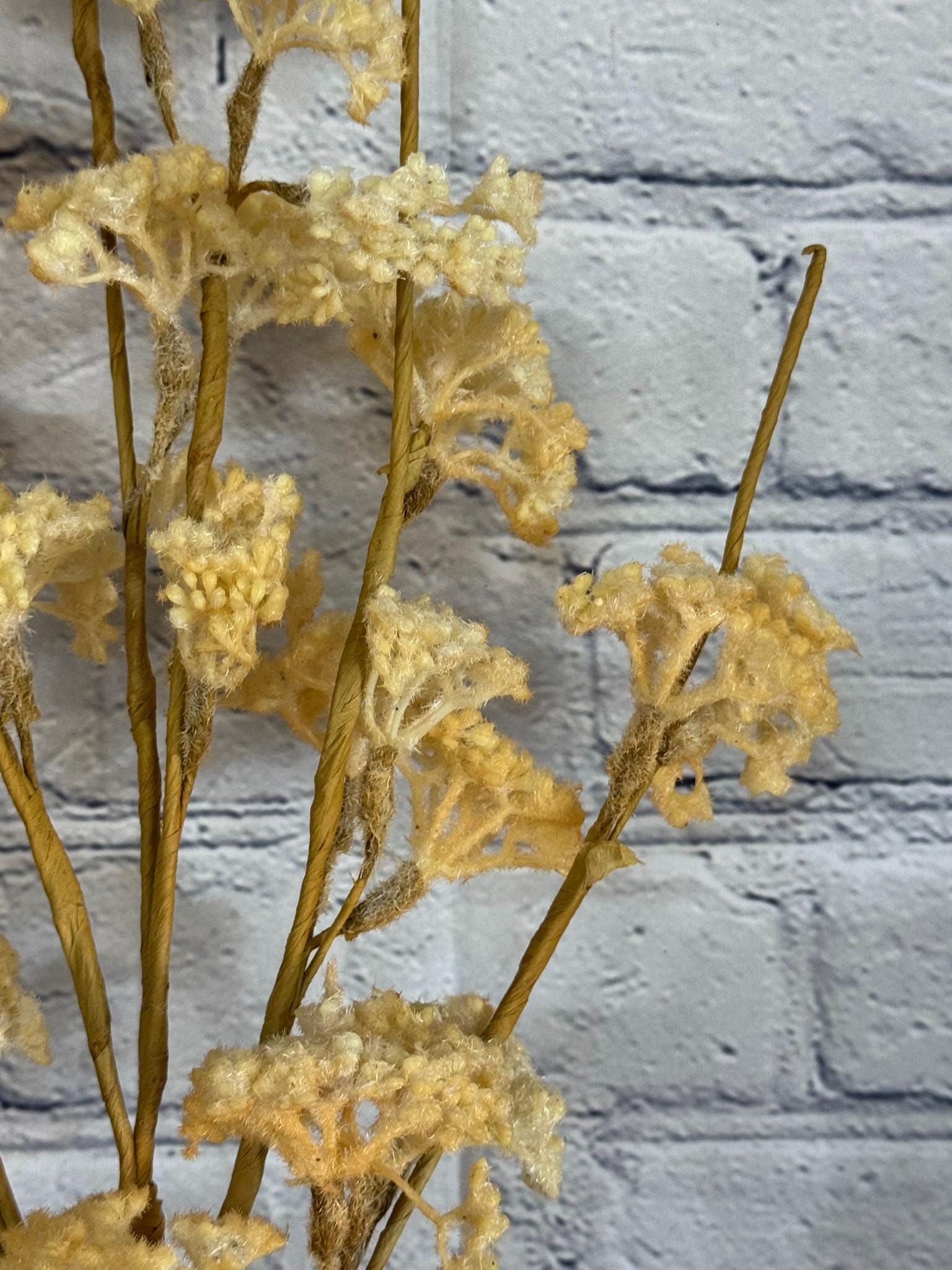 Natural Yarrow Spray X 5, 32” Spray, Wreath Embellishment Supply ...