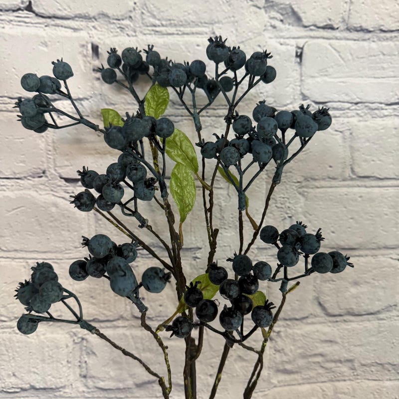 Berry Picks and Sprays - Etsy