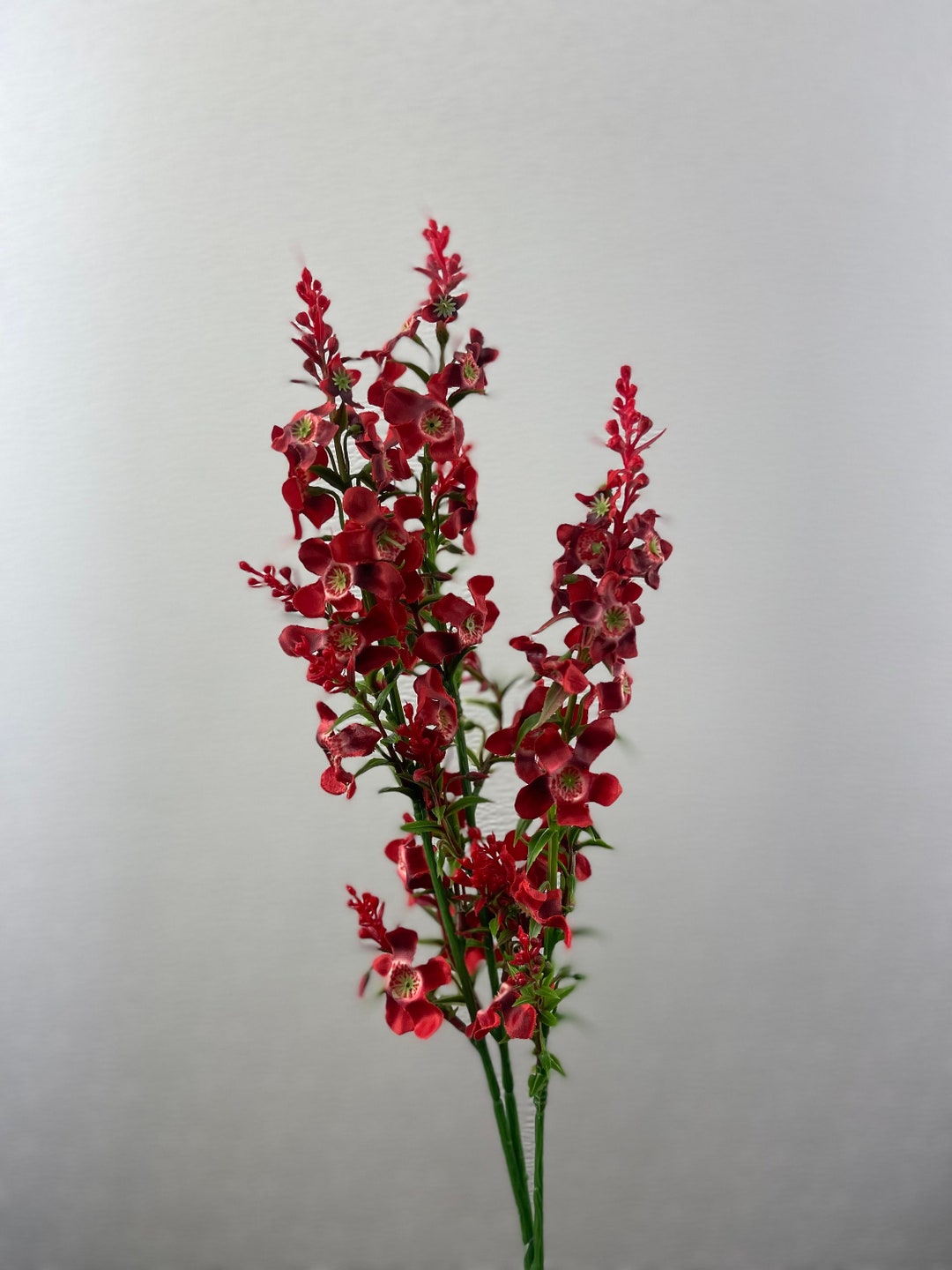 Genestra Red Stem, 29, Greenery Wreath Embellishment Supply, Floral ...