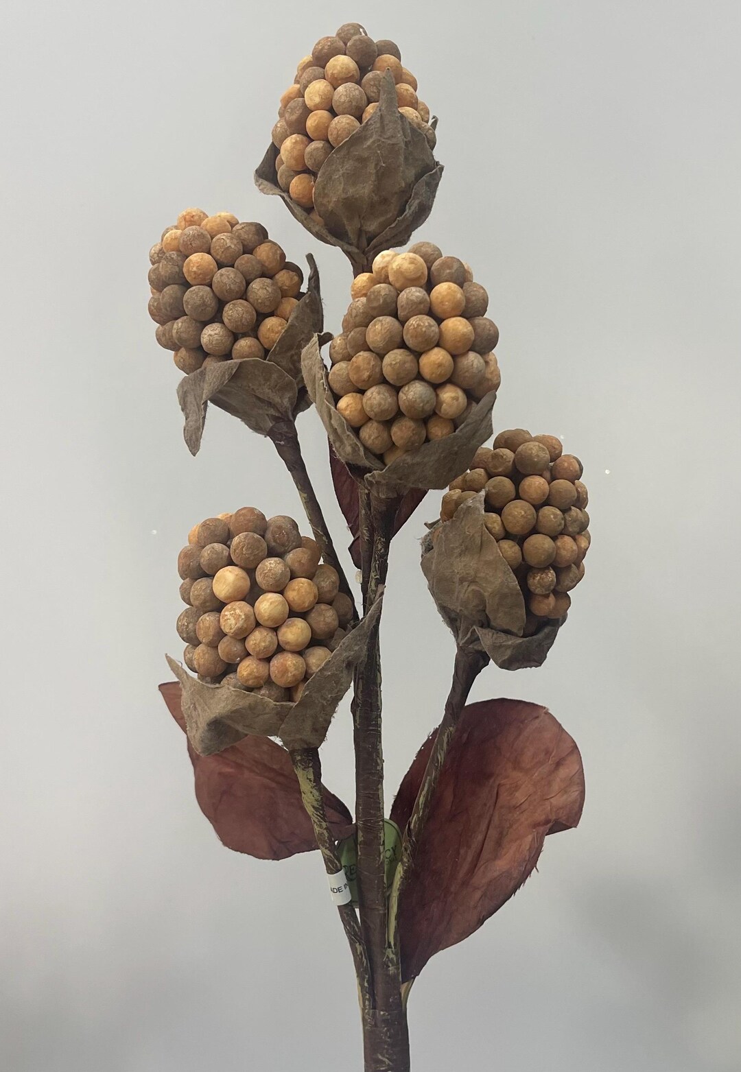 Fall Autumn Nutmeg Berry Pod Spray, Fall Wreath, Autumn Decor, Floral ...