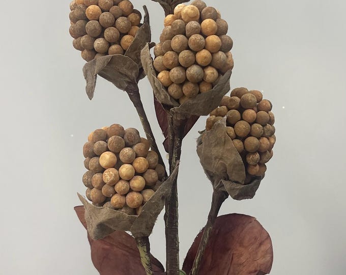 Fall Autumn Nutmeg Berry Pod Spray, Fall Wreath, Autumn Decor, Floral ...