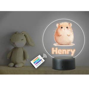 Personalised Any Name Kids Hamster RGB LED Night Light. Usb/battery ...