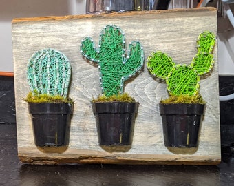 Big Cactus String Art - Etsy