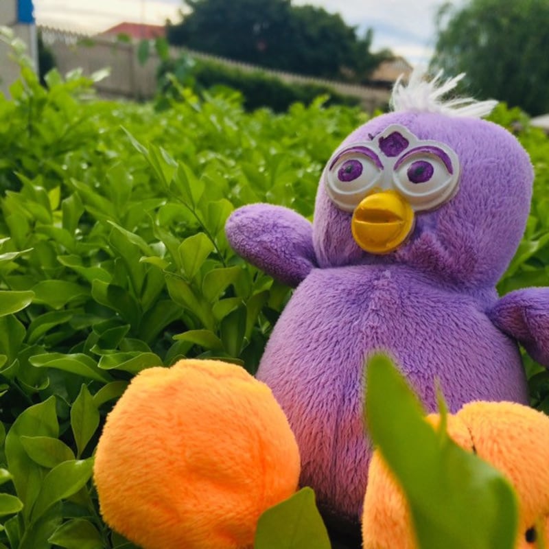 Oddbody Furby - Etsy